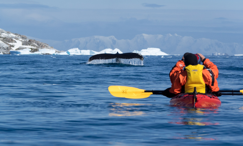How Much Does It Cost to Visit Antarctica from the USA? | Chimu Adventures