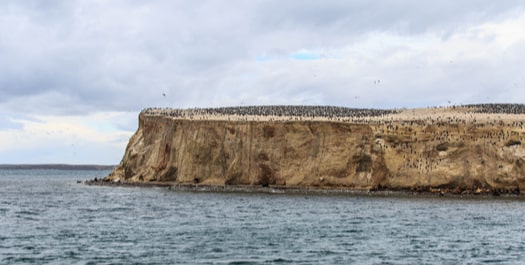 Essential Patagonia | Ultramarine